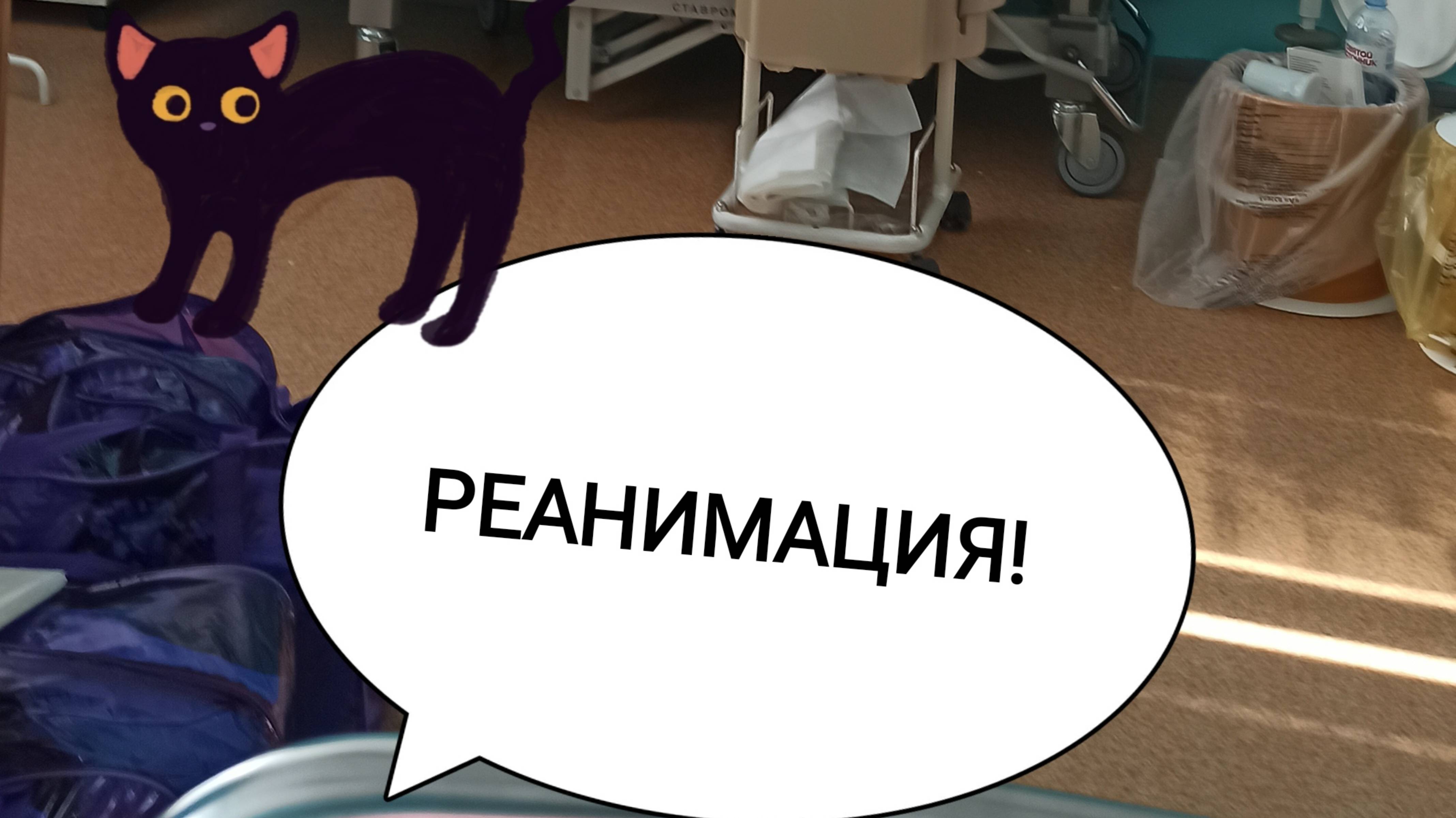 РЕАНИМАЦИЯ.ПРИХОЖУ В СЕБЯ.2025Г.