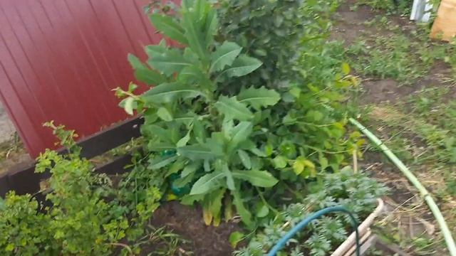 ПРИШЛО ВРЕМЯ СТАВИТЬ ЗАБОР.