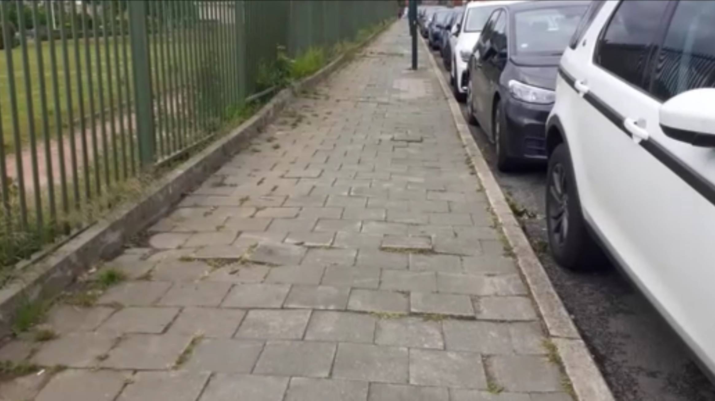 СПОРТ в "Не загнивающем" капитализме