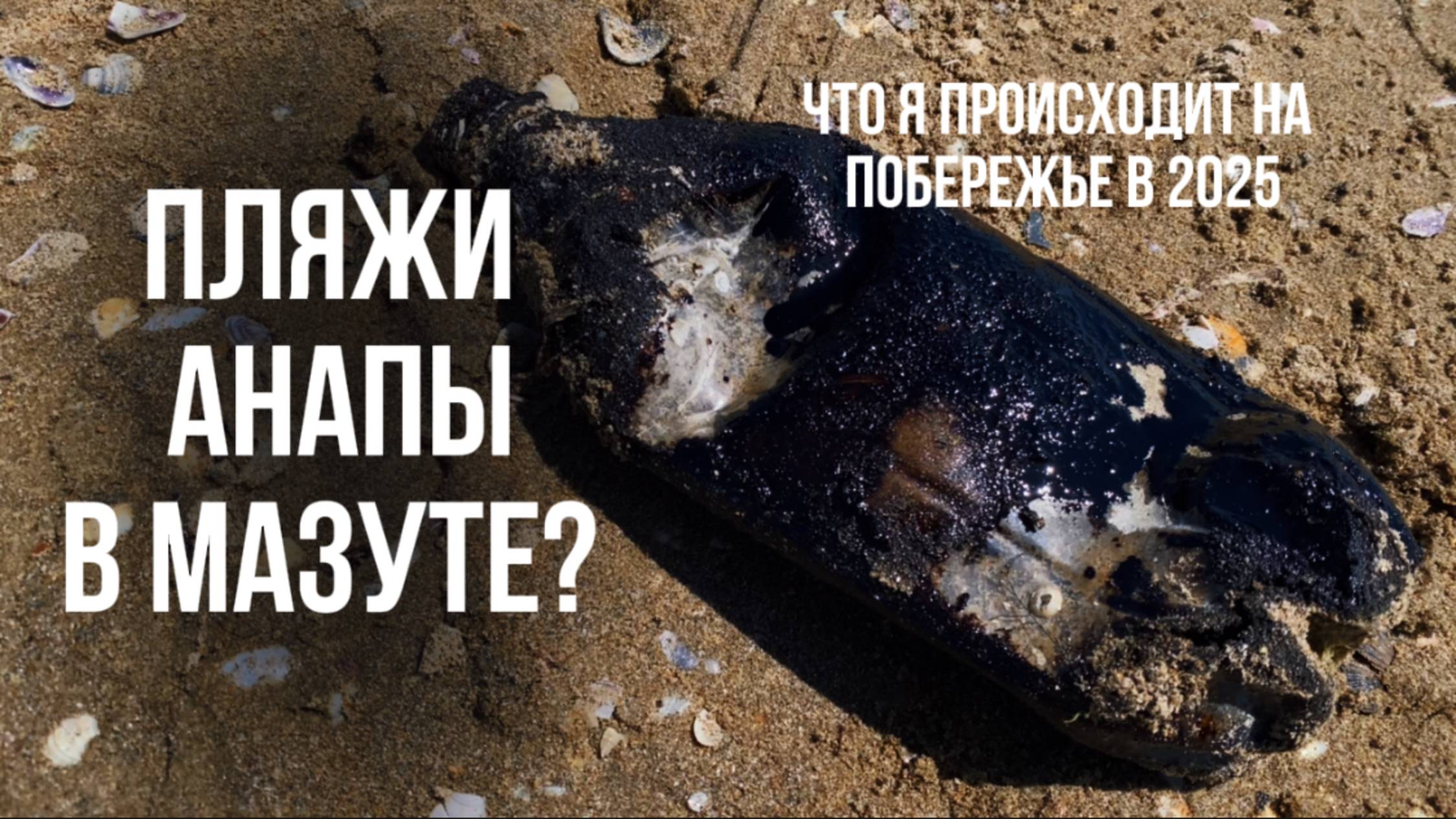 Отпуск под угрозой: МАЗУТ на пляжах Анапы (лето 2025)