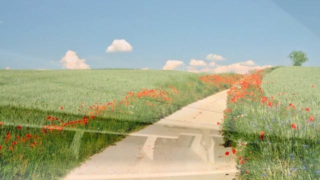 Кондиционеры Kentatsu-OTARI