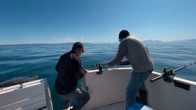 Art We  There Yet/Путешествия по  Аляске 
- Halibut Fishing in Homer Alaska A Fishermans Dream