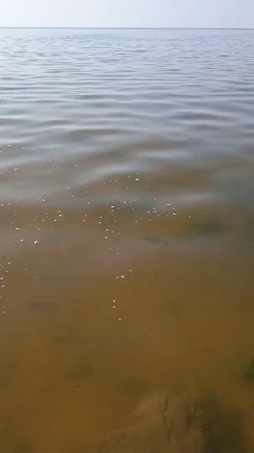 На заливе #тëплоелето #финскийзалив