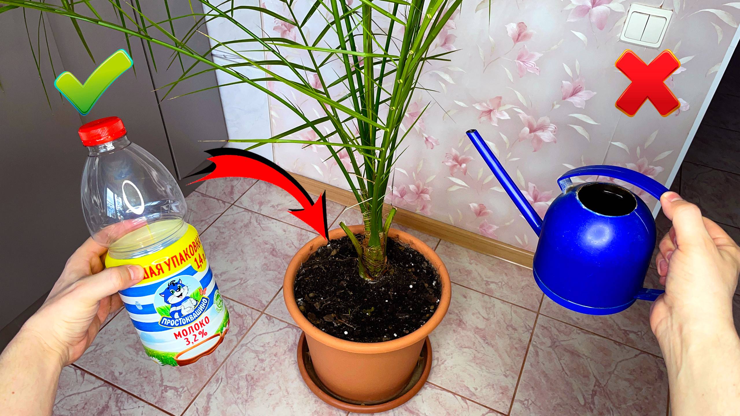 Больше НЕ ИСПОЛЬЗУЮ ЛЕЙКУ для ПОЛИВА КОМНАТНЫХ РАСТЕНИЙ! Теперь пользуюсь ПЛАСТИКОВОЙ БУТЫЛКОЙ!