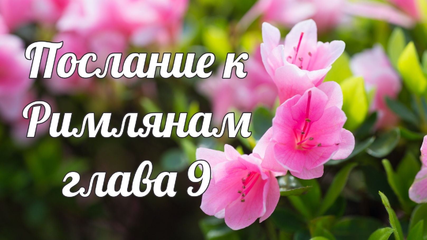 Послание к Римлянам глава 9