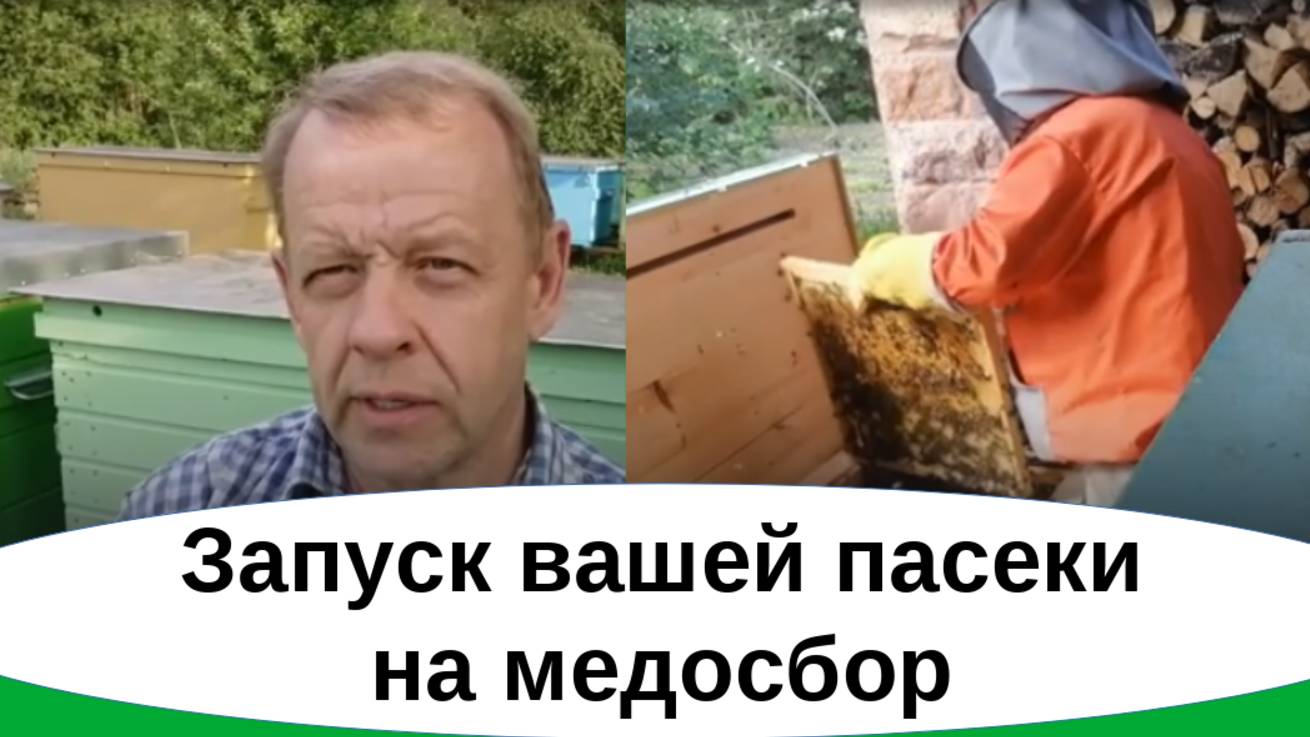 Помощь в запуске пасеки на медосбор индивидуально. Деление на пол-лёта в лежаке, пасека клиента