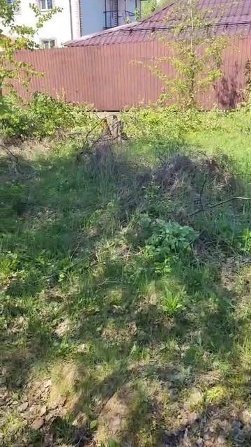 Участок Монино Ягодная