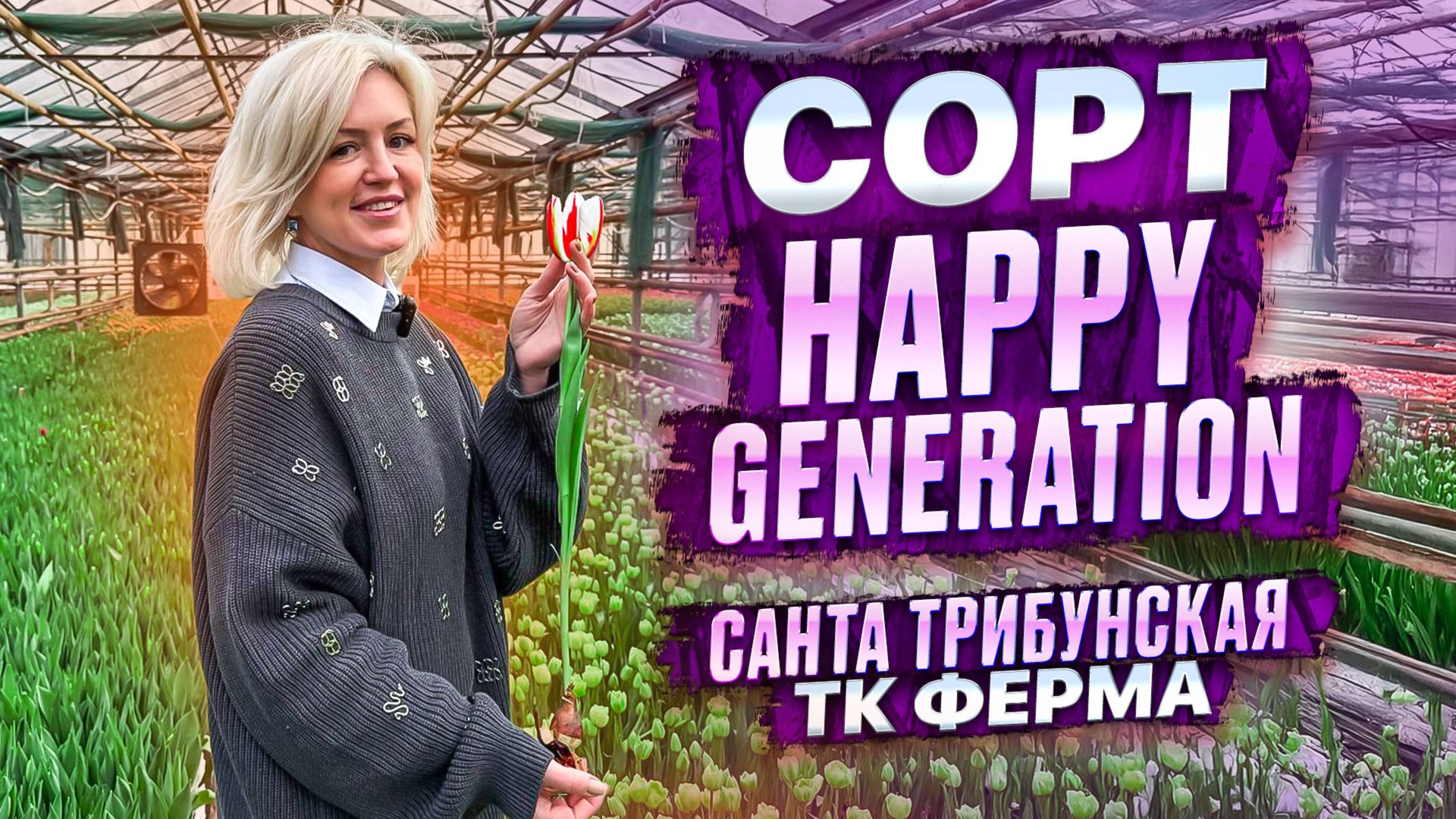 Сорт тюльпана HAPPY GENERATION