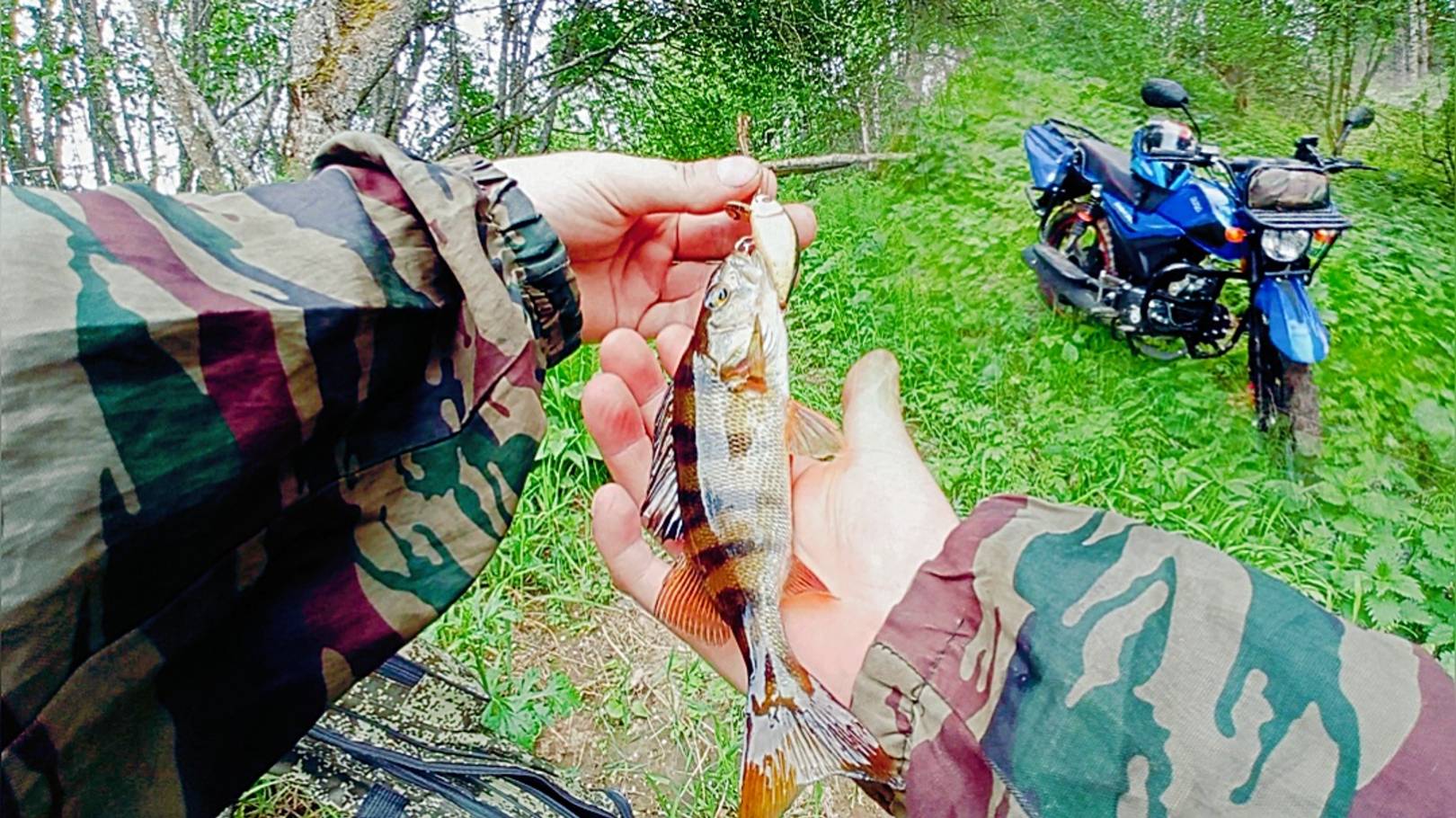 Решил прокатиться на разведку вдоль речки ,и за одно порыбачить на спиннинг. Покатушка на Альфе.