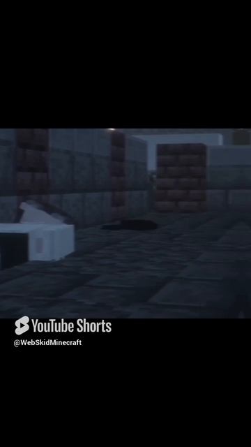 Тг канал _ @Web_skid #майнкрафт #minecraft  сериал #эдит #литвин #футбол #кондиции #edit #memes (26)