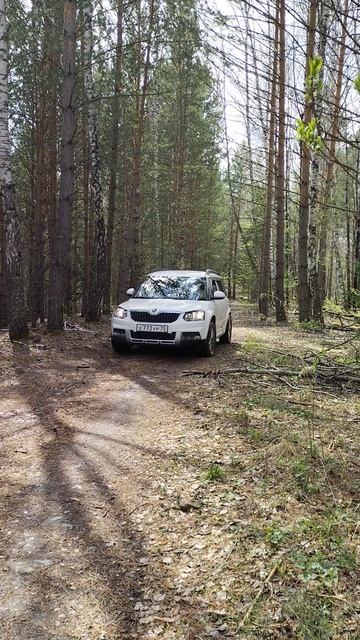 Томск-Красноярск, 2025_14. В поисках приключений