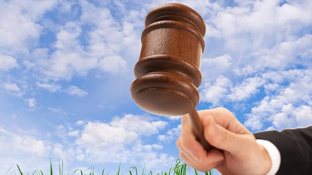 Новые условия конфискации земельных участков и штрафы