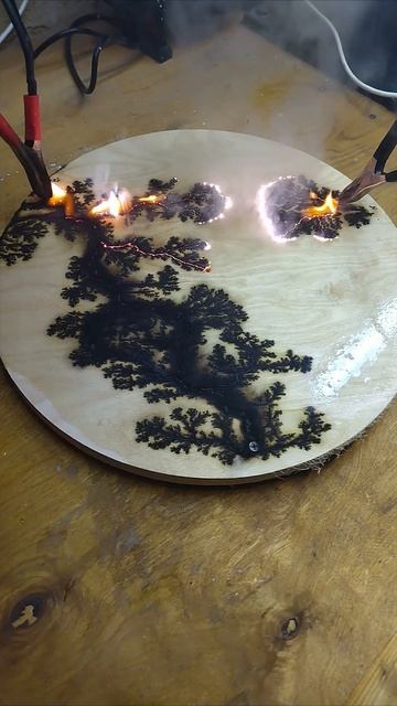 Линии Лихтенберга во всей красе..