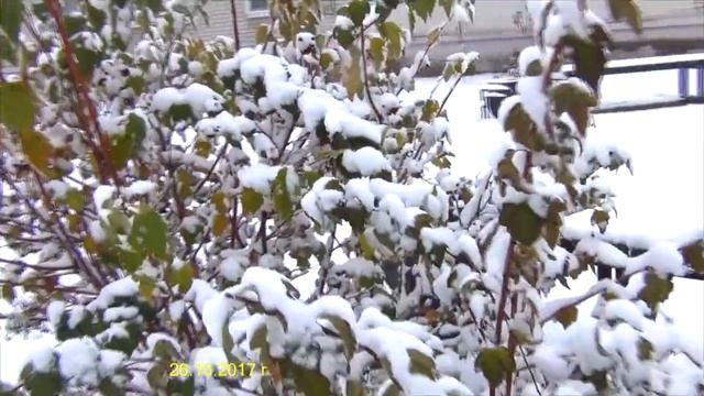 2017г Первый снег