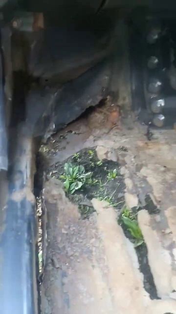 #Nissan #Cefiro #a32 Скоро как в флинстоунах будем !!!