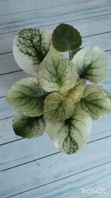 Она явно чувствует себя не такой как все...