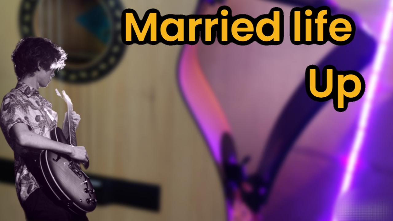 Married life from up movie