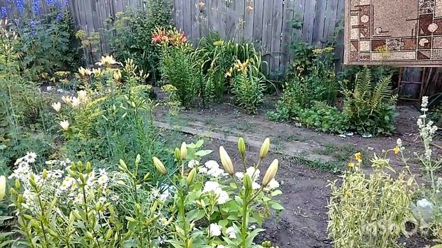 Красивые цветы - красивая песня