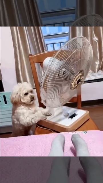 Очень жарко