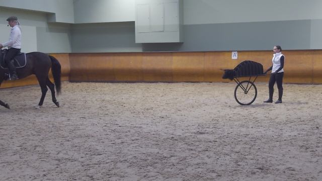 Эквирос 2025_14