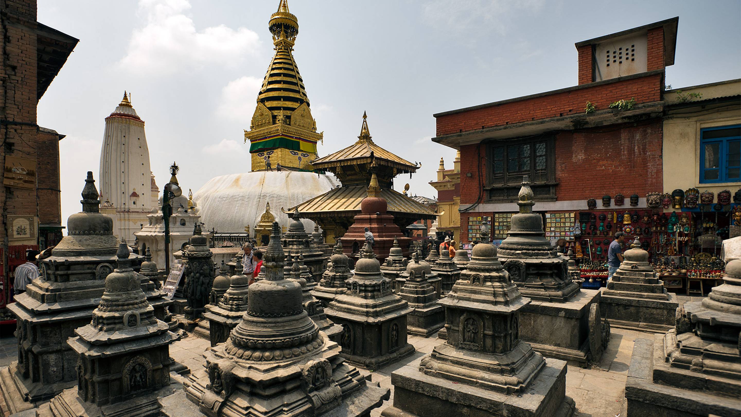 Мустанг и Тибетский Буддизм: Духовное Паломничество