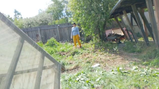 Ломаем теплицу. борьба с муравьями
дача 2-3 день