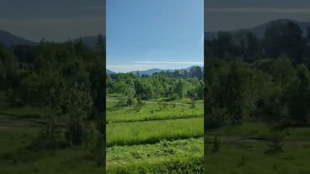 В Сибирь.В Горно-Алтайск.