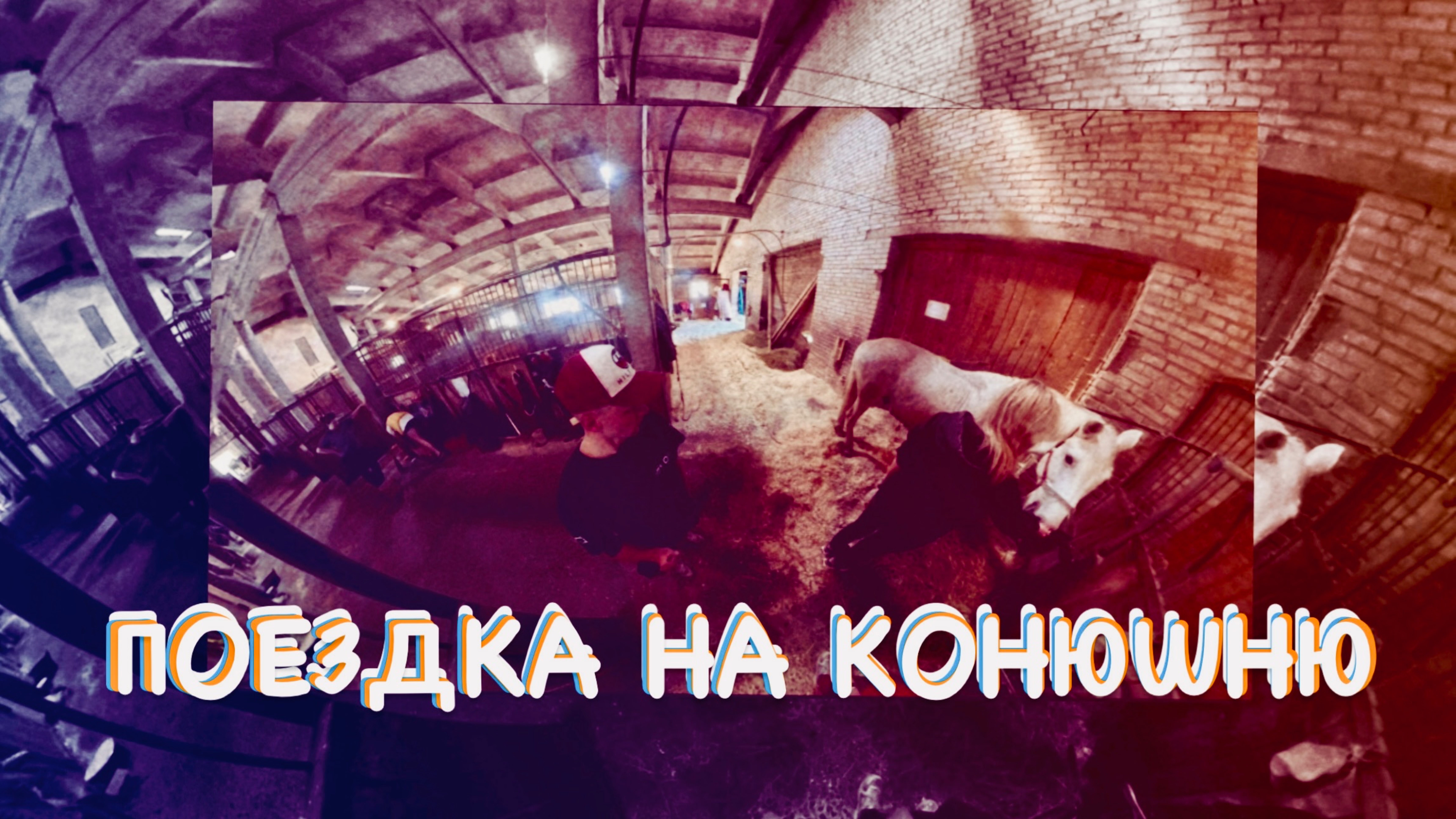 БОРТ ЖУРНАЛ ПОЕЗДКА НА КОНЮШНЮ