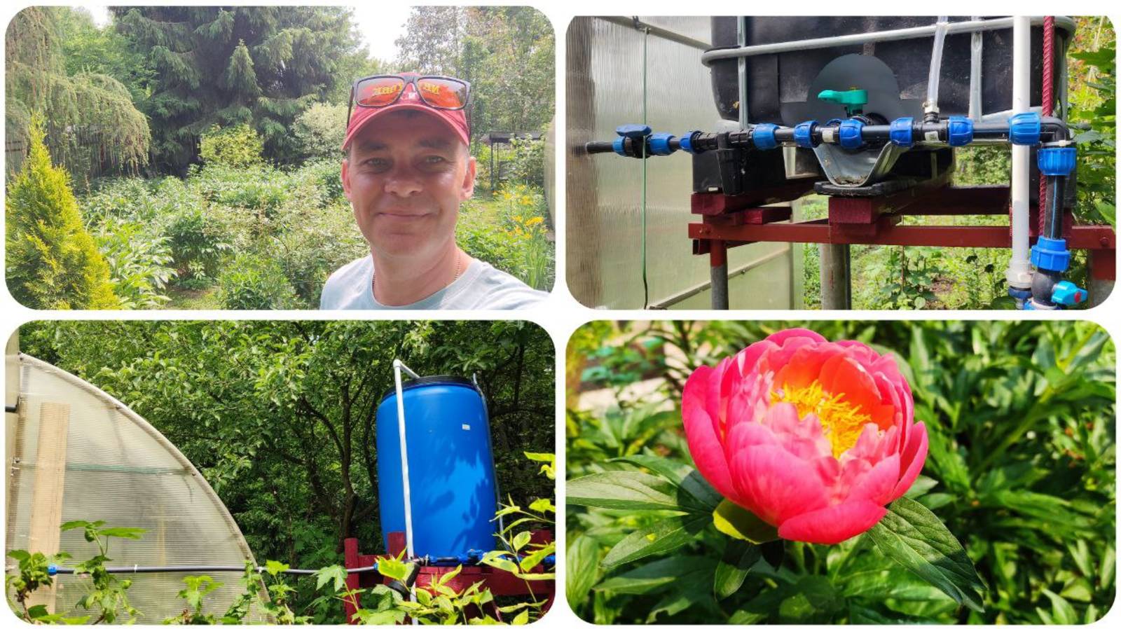 Капельный автополив в теплице. Абиссинская скважина. Чем помочь перцу? Что случилось с малиной?