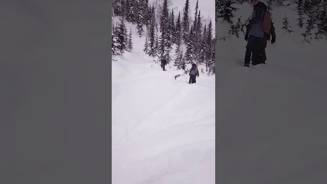 Что за дивное место?! / Лужба, февраль 2024