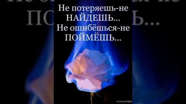 Есть вещи, которые не меняются