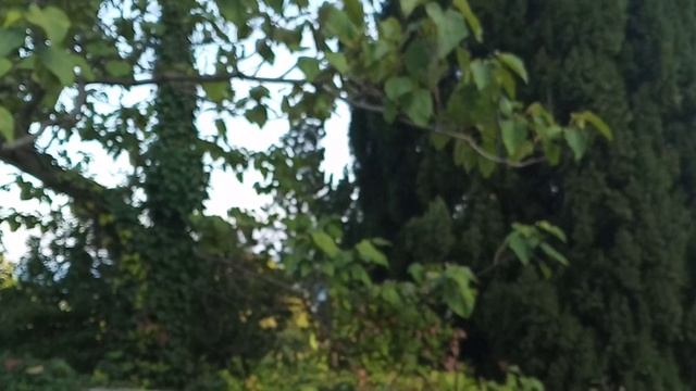 Крым в октябре