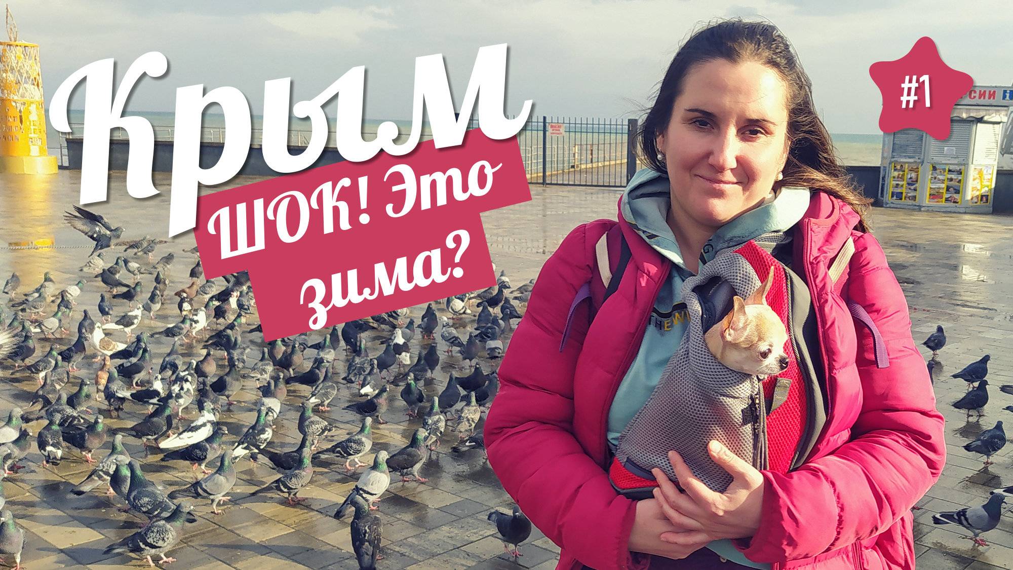 КРЫМ ЗИМОЙ - ПРИЕХАЛИ ВПЕРВЫЕ И ВОТ, ЧТО УВИДЕЛИ...