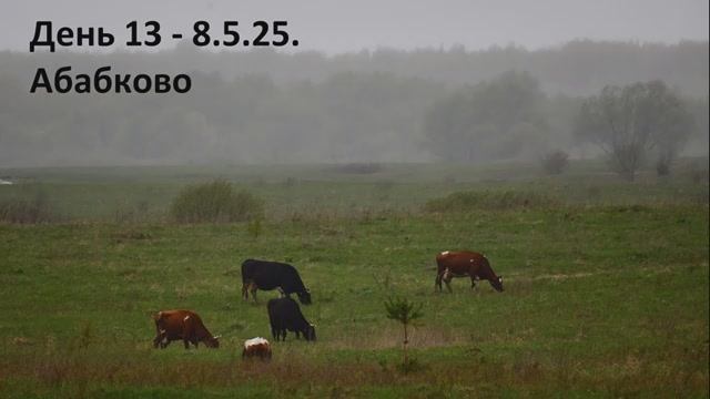 Весенние наблюдения птиц. Отчёт о соревнованиях. Фотоохота.