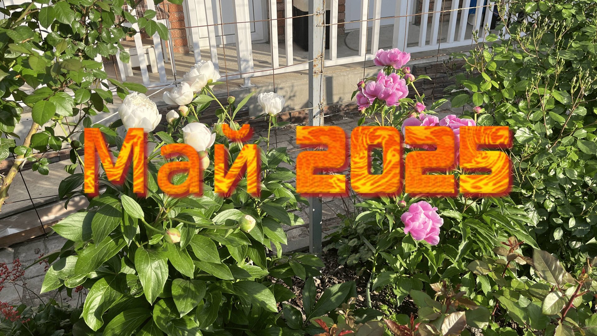 Май 2025 года