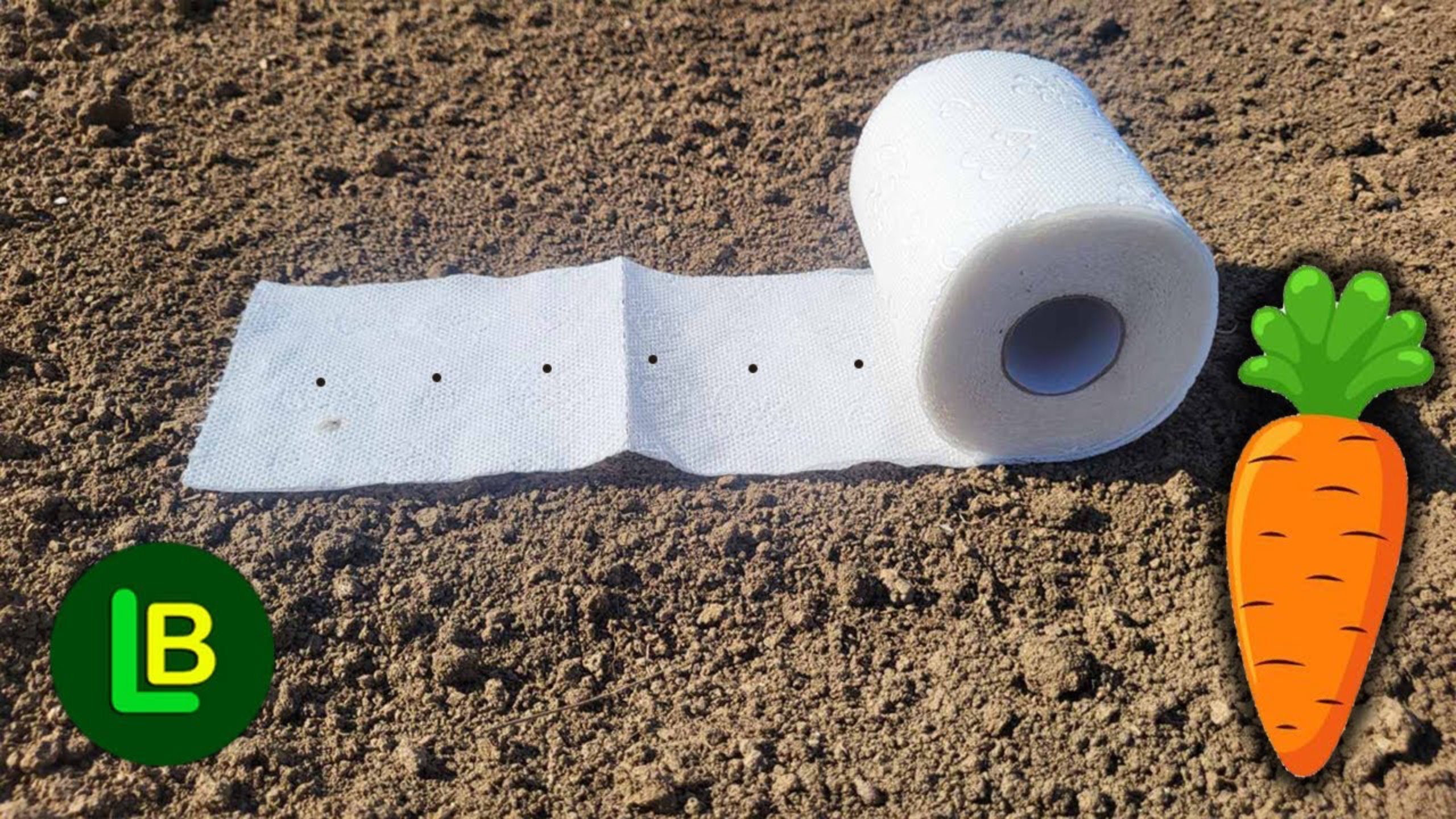 Перед посевом моркови, петрушки и других мелких семян обязательно сделайте следующее