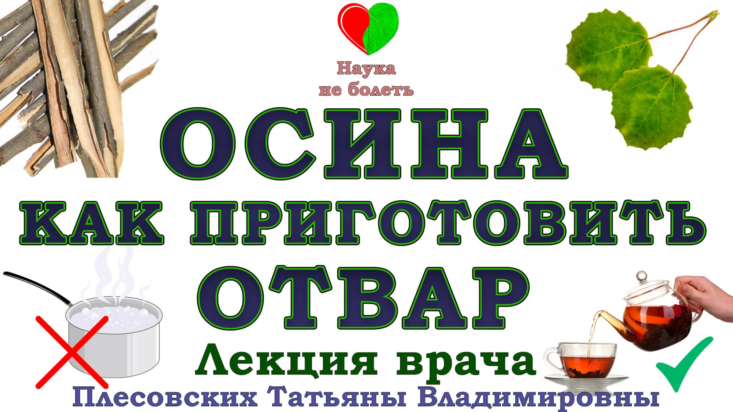 КОРА ОСИНЫ КАК ЗАВАРИВАТЬ -||- ПРОТИВОВИРУСНЫЙ ОТВАР ОСИНЫ -||- ОСИНА ПОЛЬЗА И ВРЕД