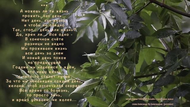 А можешь ли ты жизнь прожить, как день 230912 Дарья ПАВЛОВА Онлайн-студия «Дом звука»