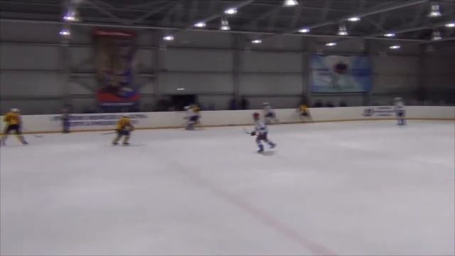 22 02 18г НХЛ Вымпел   Волна 3 3