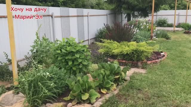 Один из способов борьбы с сорняками. Он больше не будет меня беспокоить.