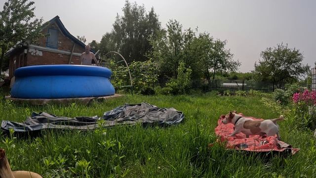Дача 05.06.2025