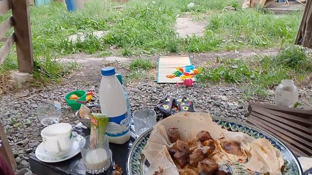 Первые шашлыки