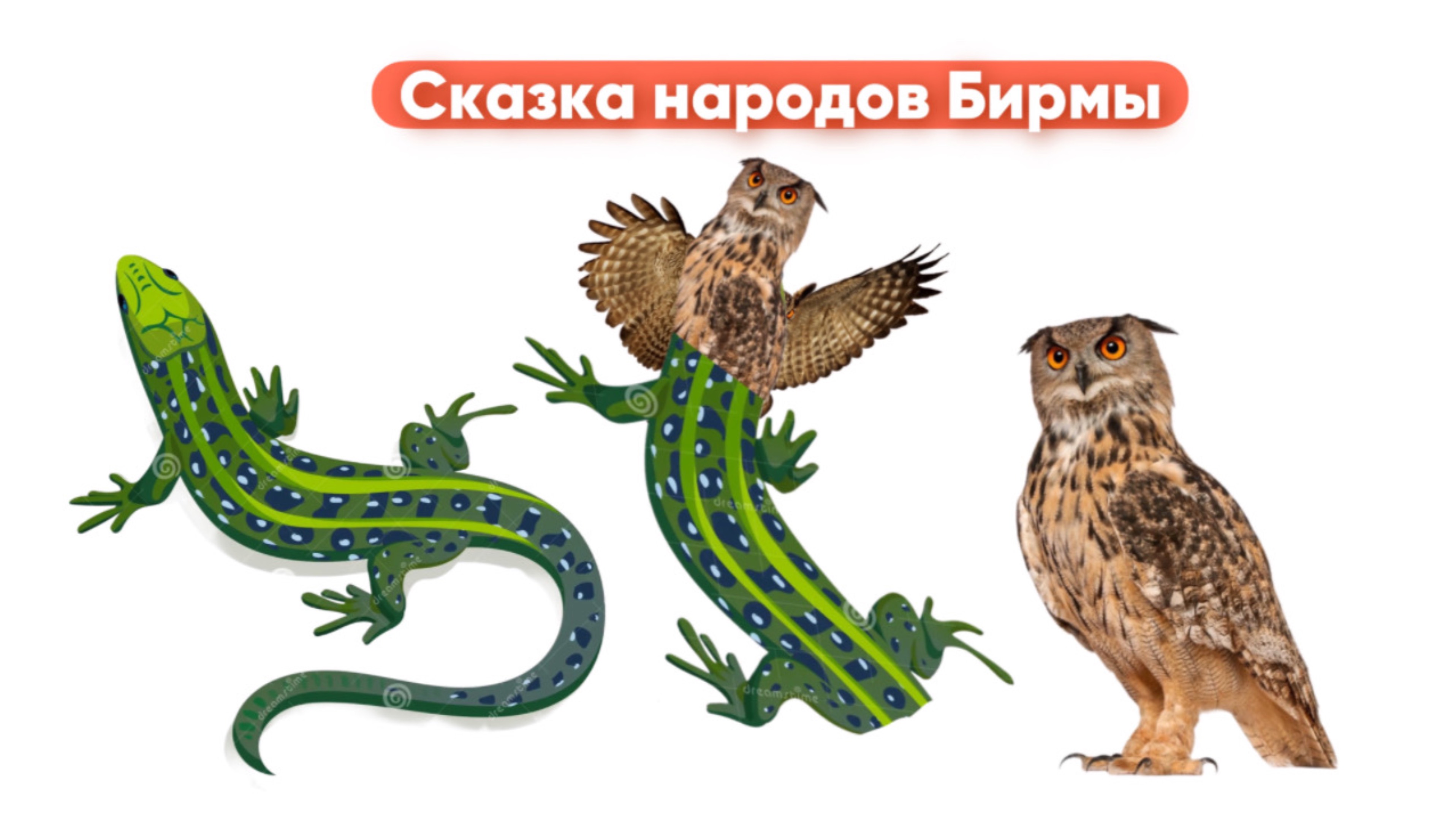 Сказка народов Бирмы. Тау-кве, тау-кве