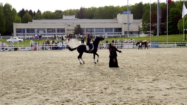 Эквирос 2025_17