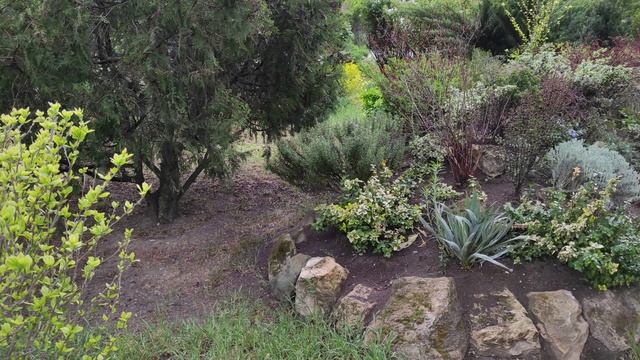 Санаторий Анапа. 2025г. Отдых в Анапе.