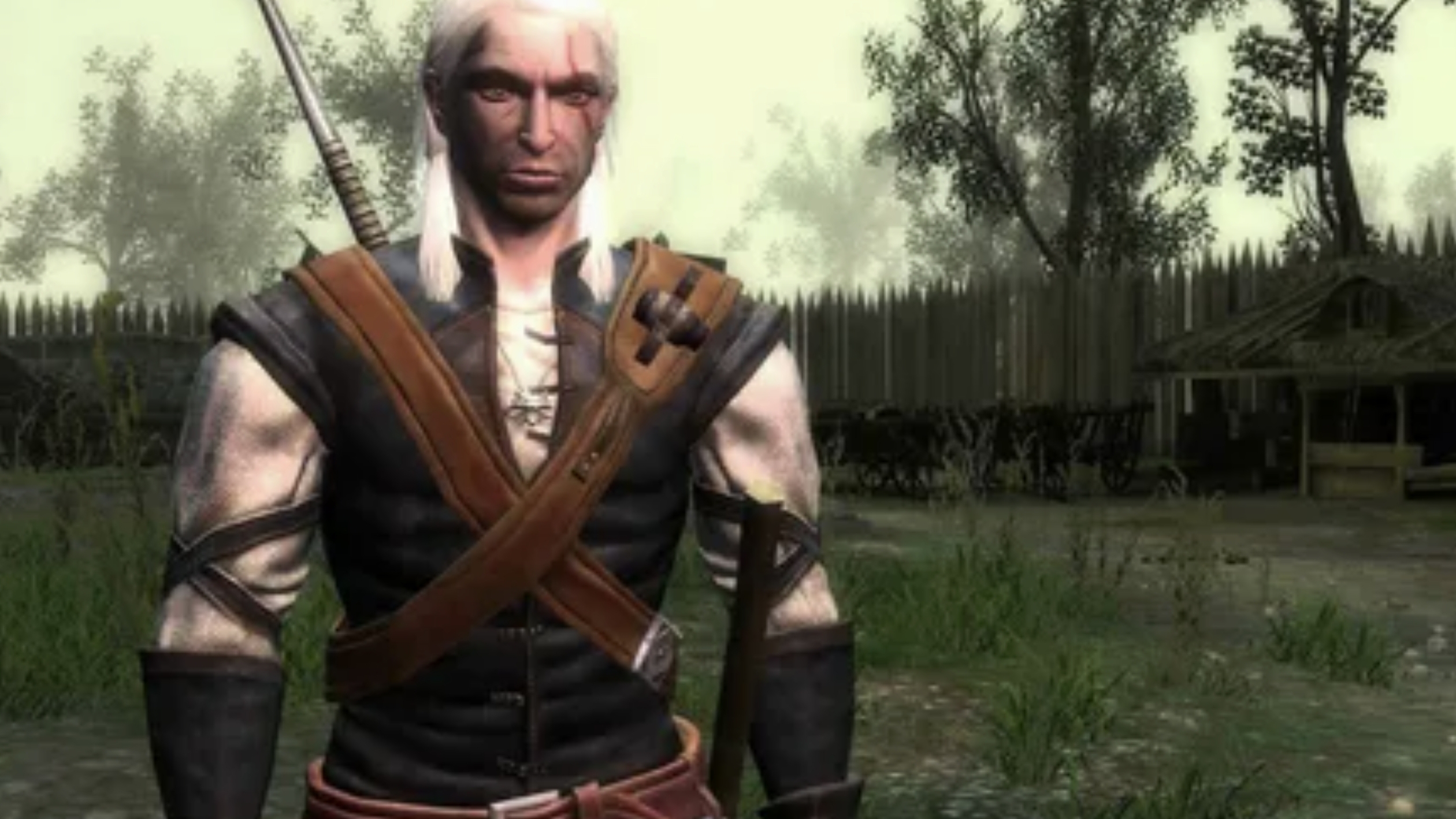 Ведьмак: Возвращение в мир магии