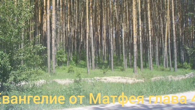 Библия Евангелие от Матфея глава 4