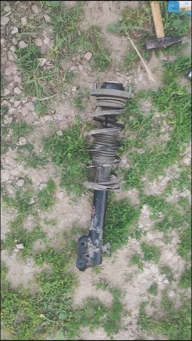 Китайский пыльник через год эксплуатации