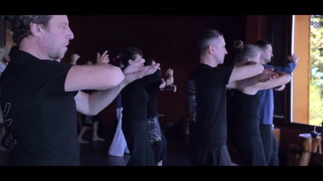 Цзе Кун. Шаги багуа