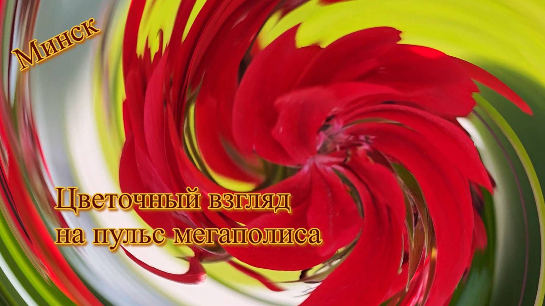 Минск. Цветочный взгляд на пульс мегаполиса